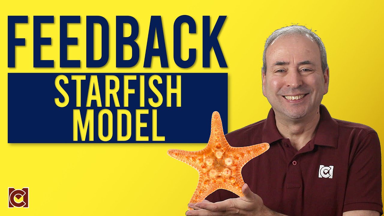 What is the Starfish Model for Giving Feedback? - mgmtcourses.com